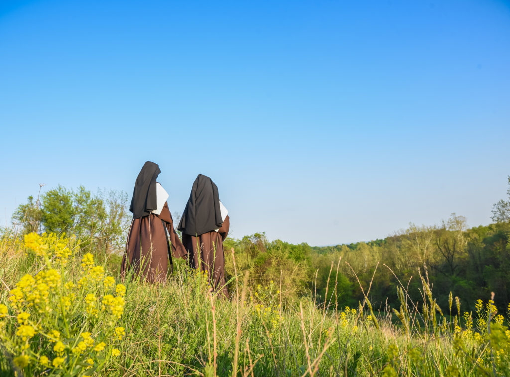 Build a monastery to last 1000 years | Thomas More College