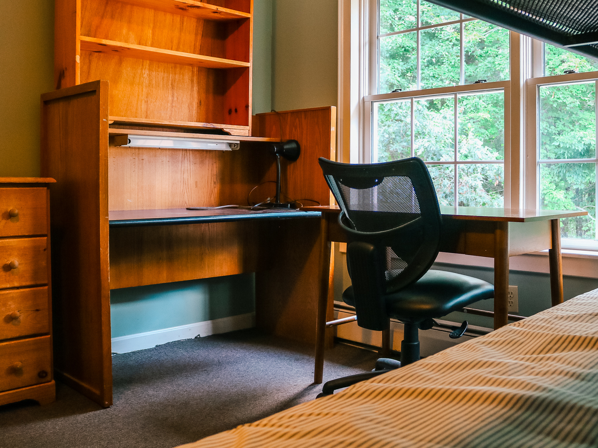 Our Campus | Thomas More College